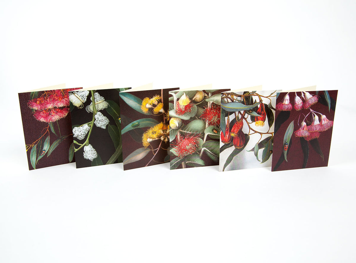 Bell Art - Boxed Gift Cards - Gum Bug Box – KC's Hidden Treasures